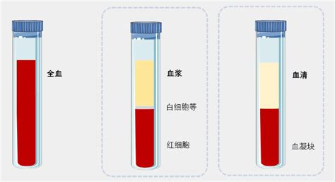 代谢组学临床血液样本分析前处理的建议