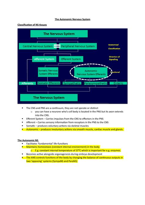 L12 Ans Lecture Notes 12 The Autonomic Nervous System