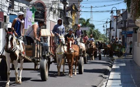 Corrientes En El Aire Impulsan Ley Que Prohíbe La Tracción A Sangre