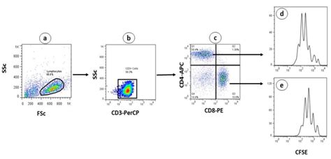 Flow Cytometry Gating Strategy For Determining Proliferation In Cd4