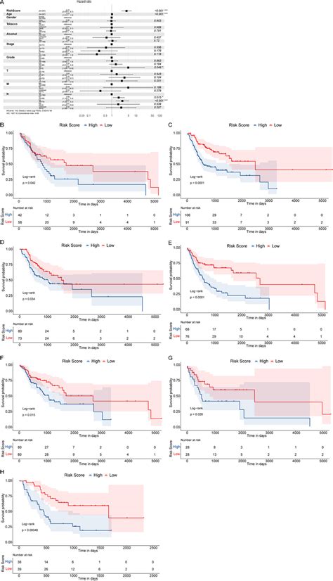 Risk Score Is An Independent Prognostic Biomarker For OSCC A Forest Download Scientific