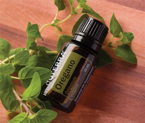 Aceite De Oregano Precio Bienes Baratos