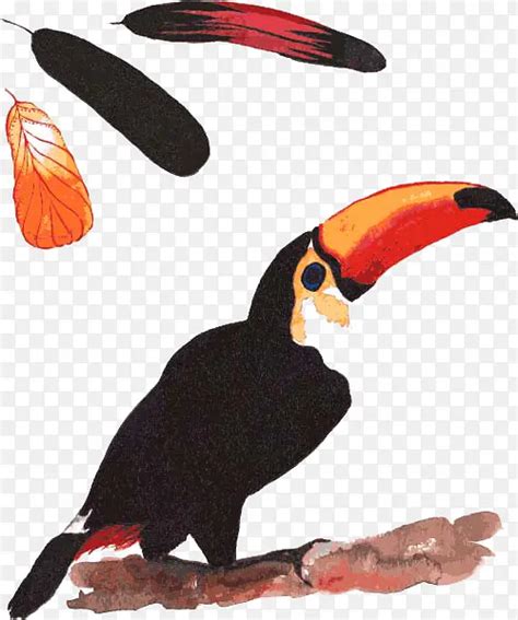Png Yolzxmdo