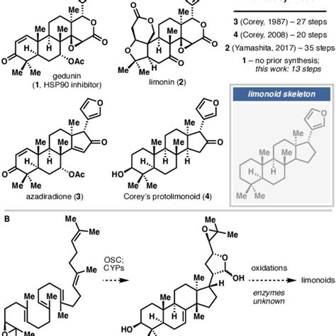 A Representative Limonoid Triterpenes Highlighting Prototypical