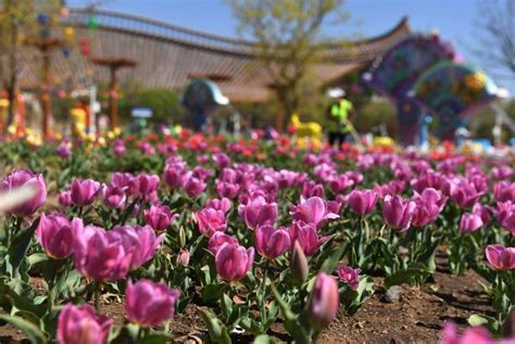 延庆区推出百余项活动 丰富市民出游选择景区特色长城