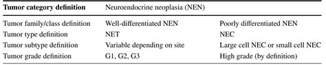 PDF Overview Of The 2022 WHO Classification Of Neuroendocrine Neoplasms