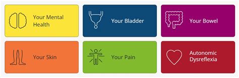 Health Maintenance Toolkit For People With Spinal Cord Injuries Spinal Cord Injuries Australia