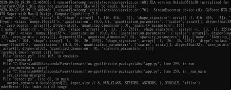 Here Is A Solution On How Tu Run Yolov4 Tflite Int8 Model · Issue 214