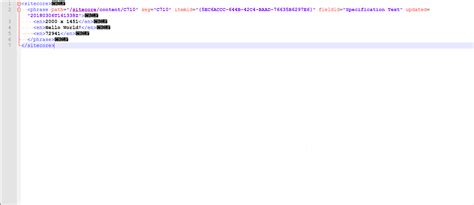Exclude Segments Of Xml Files With Regex Wordbee Support And Community