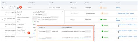 Configure An Hsm Cluster For A Kms Instance Of The Hardware Key