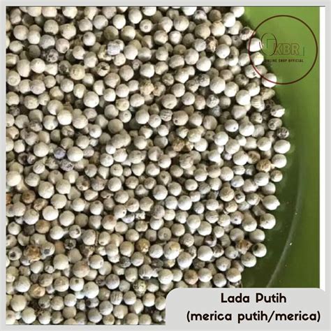 Lada Putih Biji 50grambiji Lada Putihlada Putih Utuhlada Putih 50gram Lazada Indonesia