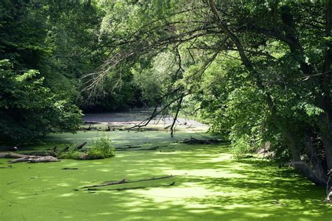 Nationalpark Donau Auen ZÜNDWERK