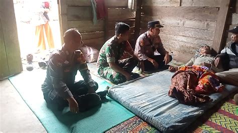 Seorang Petani Tewas Diserang Kawanan Gajah Di Kecamatan Bandar Negeri
