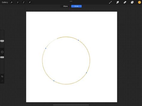 How To Make A Perfect Circle In Procreate Ebb And Flow Creative Co