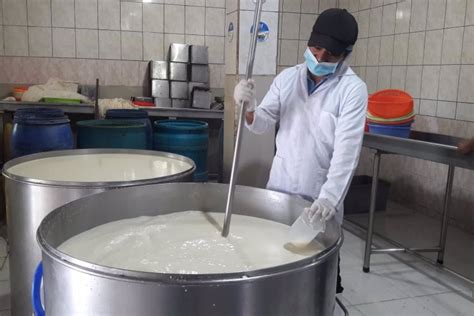 Por qué el Día del Trabajador en la Industria Láctea en Uruguay se