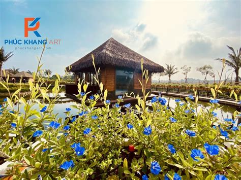 CÁC DỰ ÁN THI CÔNG LÀM NHÀ MÁI LÁ