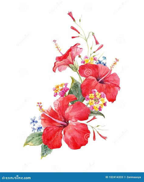 Watercolor Hibiscus Composition Stock Vector Illustration Of Vintage Ornament