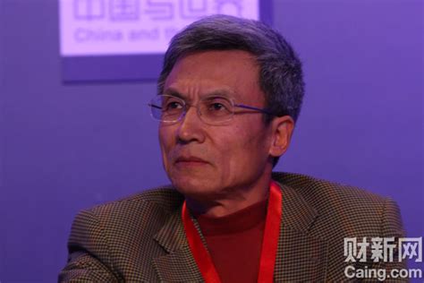 图文：中欧国际工商学院教授许小年会议讲座新浪财经新浪网