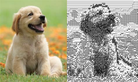 GitHub ScriptLineStudios Imagscii A Free Ascii Image Filter Api
