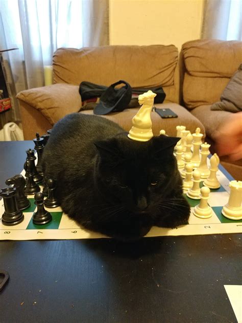 Dont Mind Me Rtightpussy