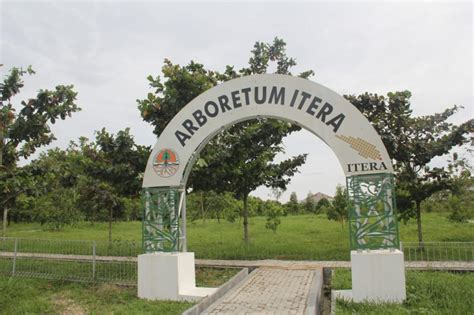 1 Itera