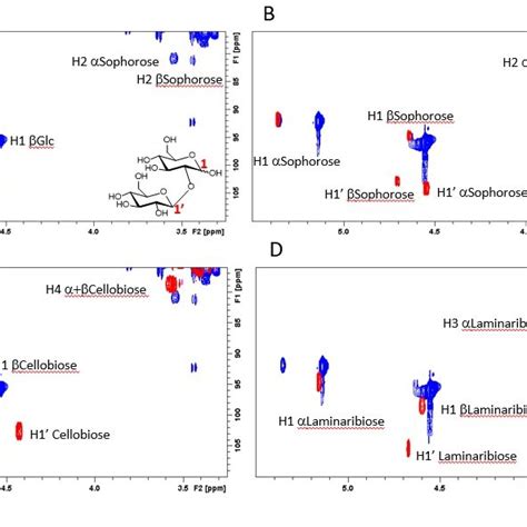 1h 13c Hsqc Nmr Spectra Of The Reaction Mixture Catalyzed By Native Download Scientific Diagram