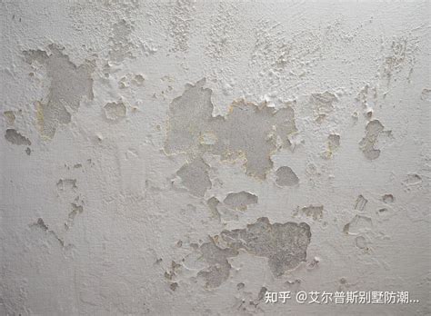 地下室潮湿，究竟是该保温还是防渗除湿？ 知乎