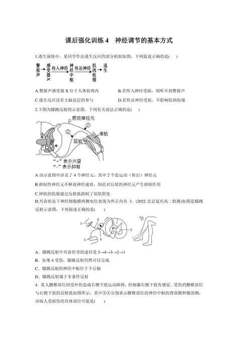 22神经调节的基本方式同步练习（含答案）2023 2024学年高二上学期生物人教版选择性必修121世纪教育网 二一教育