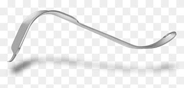 Png Pngwing