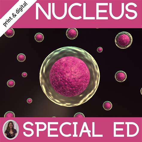 Nucleus Organelle