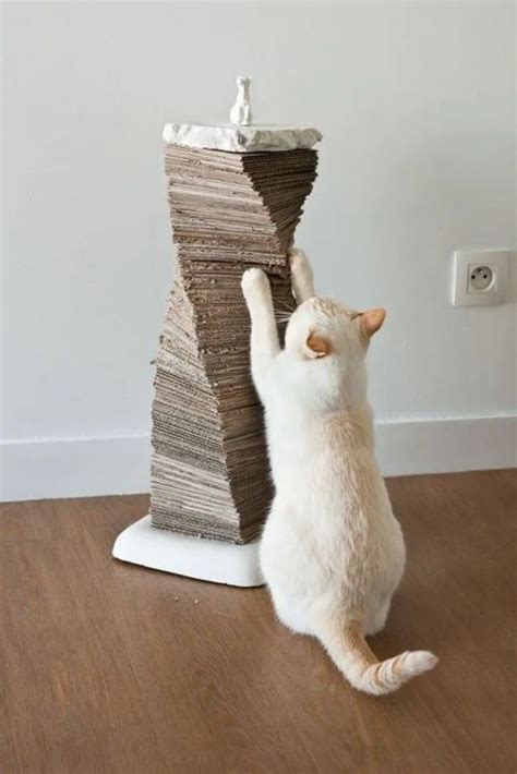 No podrás creer este trucazo sencillo y barato para que tu gato no