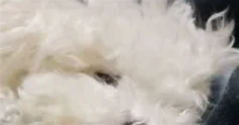 박기정 고수의 프로그래밍코딩 레슨 서비스 경기 용인시 숨고 숨은고수