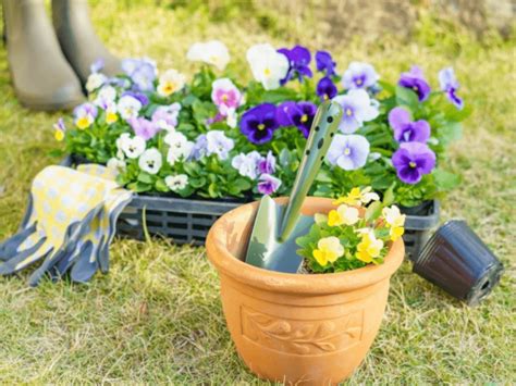 今年は室内も屋外も虫を寄せ付けない！おしゃれな害虫対策アイテムを取り入れて快適なグリーンライフを送ろう♫｜🍀greensnap（グリーンスナップ）