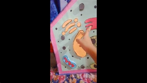 উদ্ভিদ কোষ🌳 Youtube