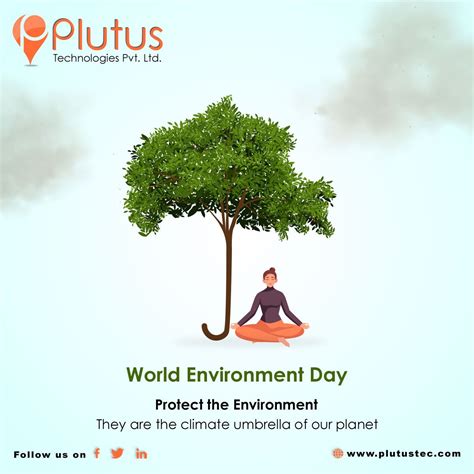 Plutus Technologies Pvt Ltd Work From Anywhere On Linkedin Plutus