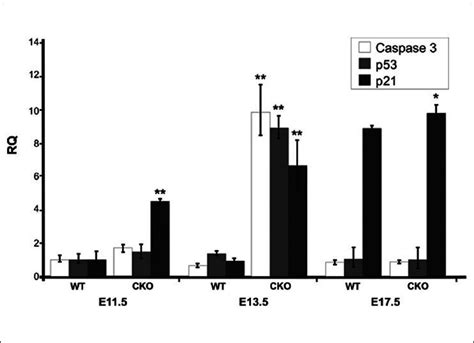 Comparative Rt Q Pcr Analysis Of Apoptotic Caspase 3 And P53 And