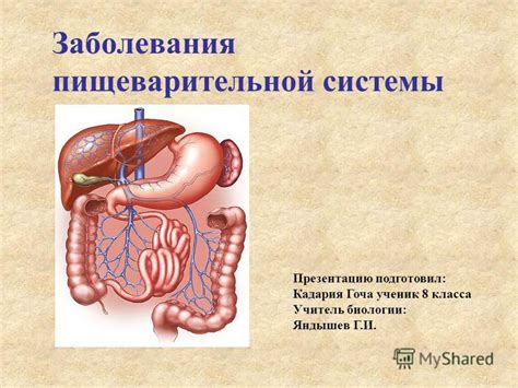 Презентация на тему Заболевания органов пищеварительной системы