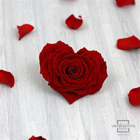 Rose Heart Verdissimo Preserved Nature