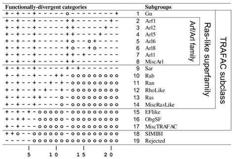 Hyperpartition For P Loop Gtpases With An Emphasis On Arfarl Gtpases Download Scientific