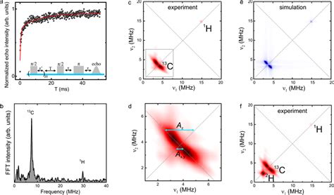 Environmental Nuclear Spin Baths Of The Localized Electron Spins In