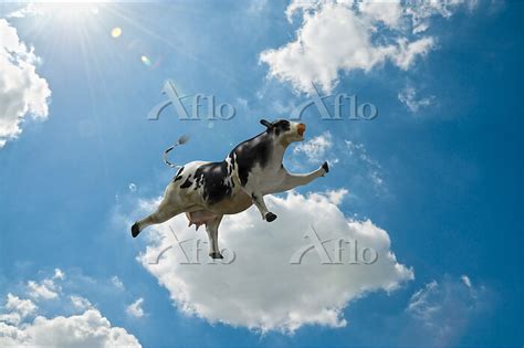 空飛ぶ牛 141970883 のイラスト素材 アフロ