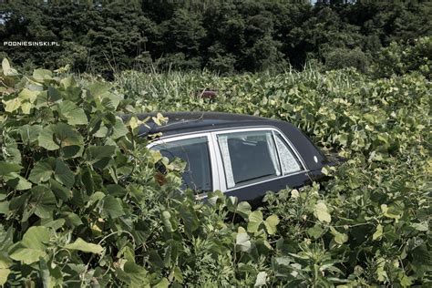 La Ville Abandonnée De Fukushima En 2015 Dévorée Par La Végétation