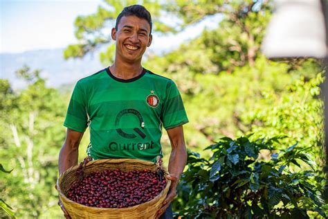 El Salvador Exportó 5725 Millones De Café En Los últimos Cinco Años