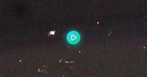 Can Anyone Identify These Little Bugs More Info Below Rcleaningtips