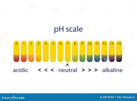 Acidity Scale Of Litmus Indicator Paper Vector Illustration Stock Vector Illustration Of