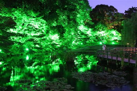 夜に憩う 徳川園夕涼み イベント情報 徳川園