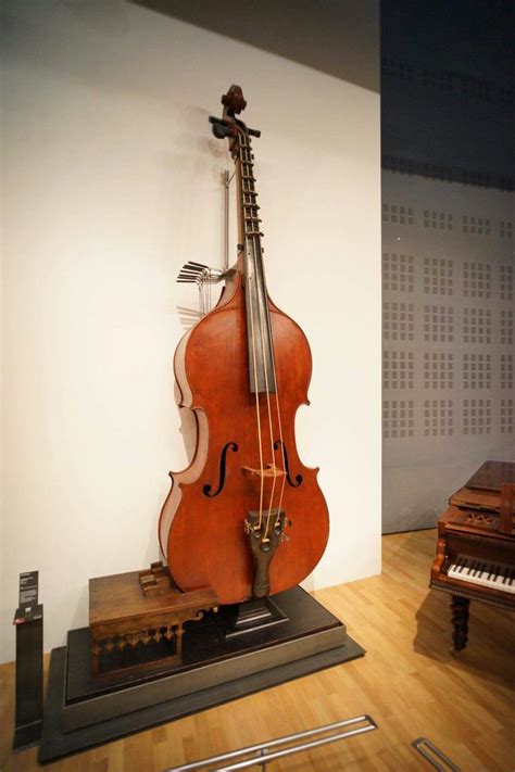 Octobass Double Bass Bass Violin