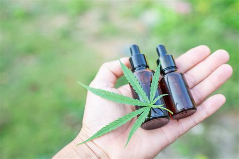 Unlocking The Benefits Of Cbd A Guide To Its Types And Uses