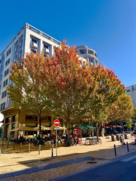 Sara Abou Jaoude On Linkedin Autumn In Porto 🍁 But Does It Still Count