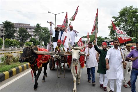 View Patna Samajwadi Party Workers Take Out Rally